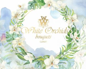 White Orchids Watercolor Clipart | Master Bundles