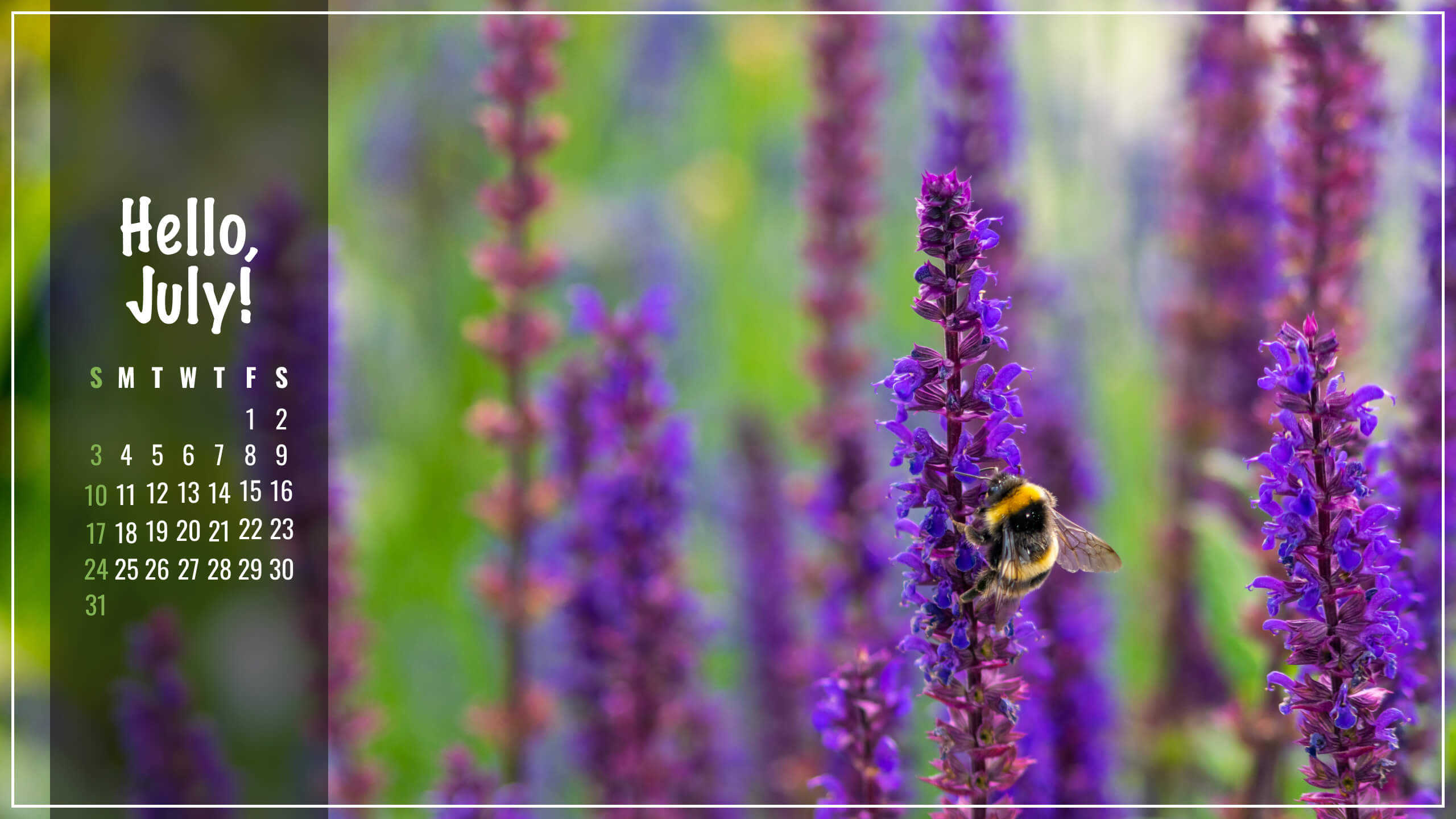 Free Sage Flower July Calendar – MasterBundles