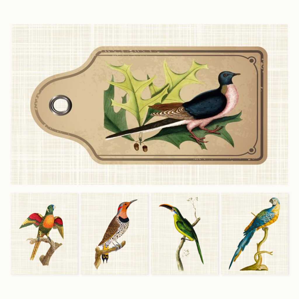 Antique Bird Clip Art – MasterBundles