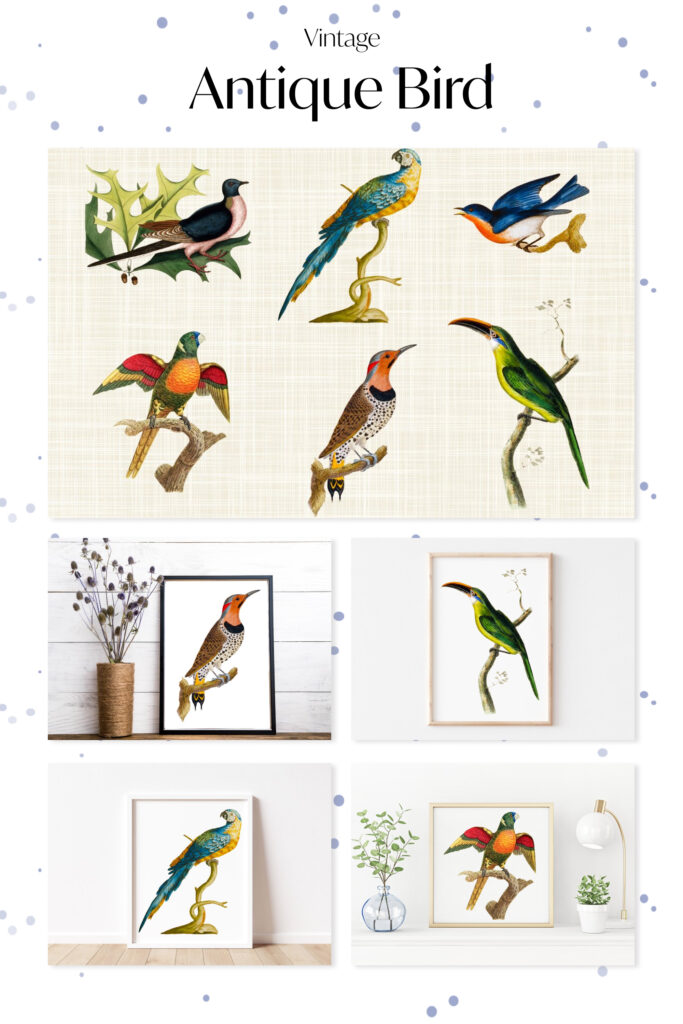 Antique Bird Clip Art – MasterBundles