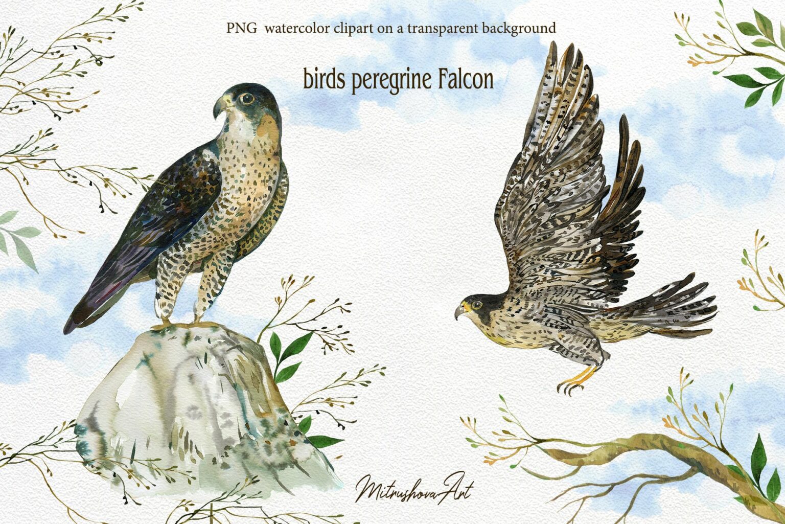 Bird of Prey Watercolor – MasterBundles