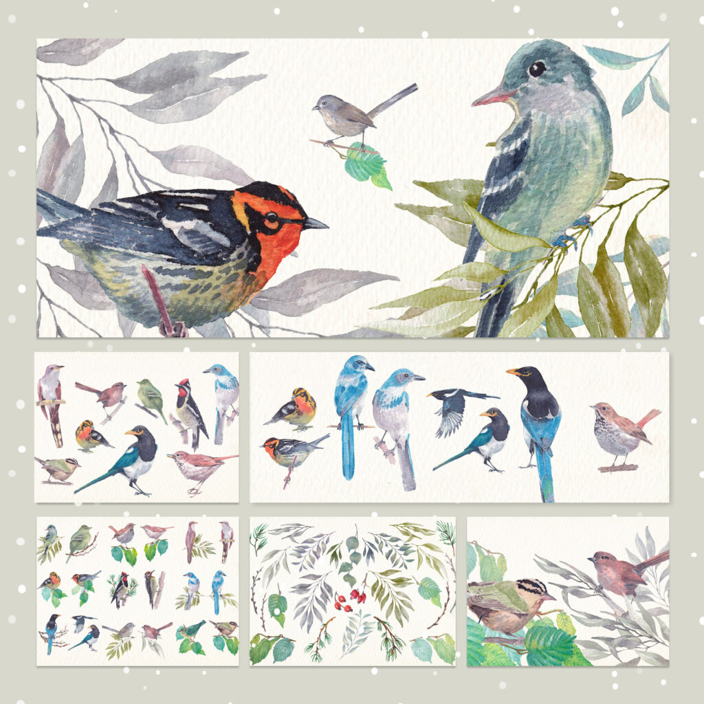 Birds Of North America Part II Watercolor Clipart – MasterBundles