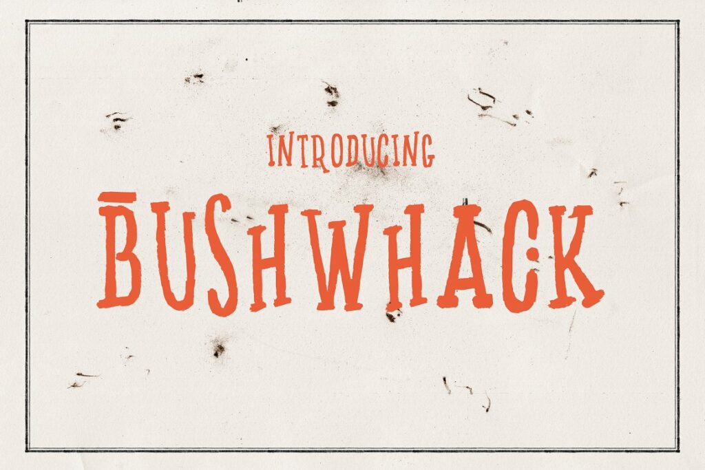 Bushwhack Font – MasterBundles