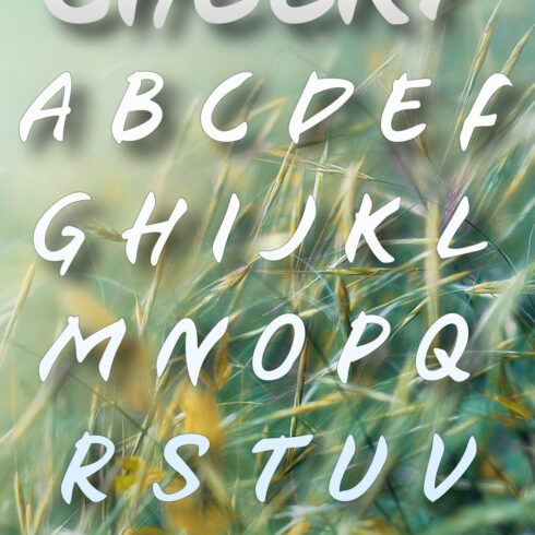 Cheeky Font | Master Bundles