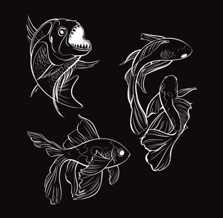 Detailed Fish Line Art Clipart Black and White PNG, SVG – MasterBundles