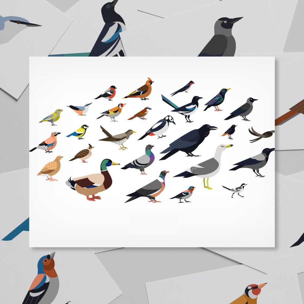Different Birds Set – MasterBundles