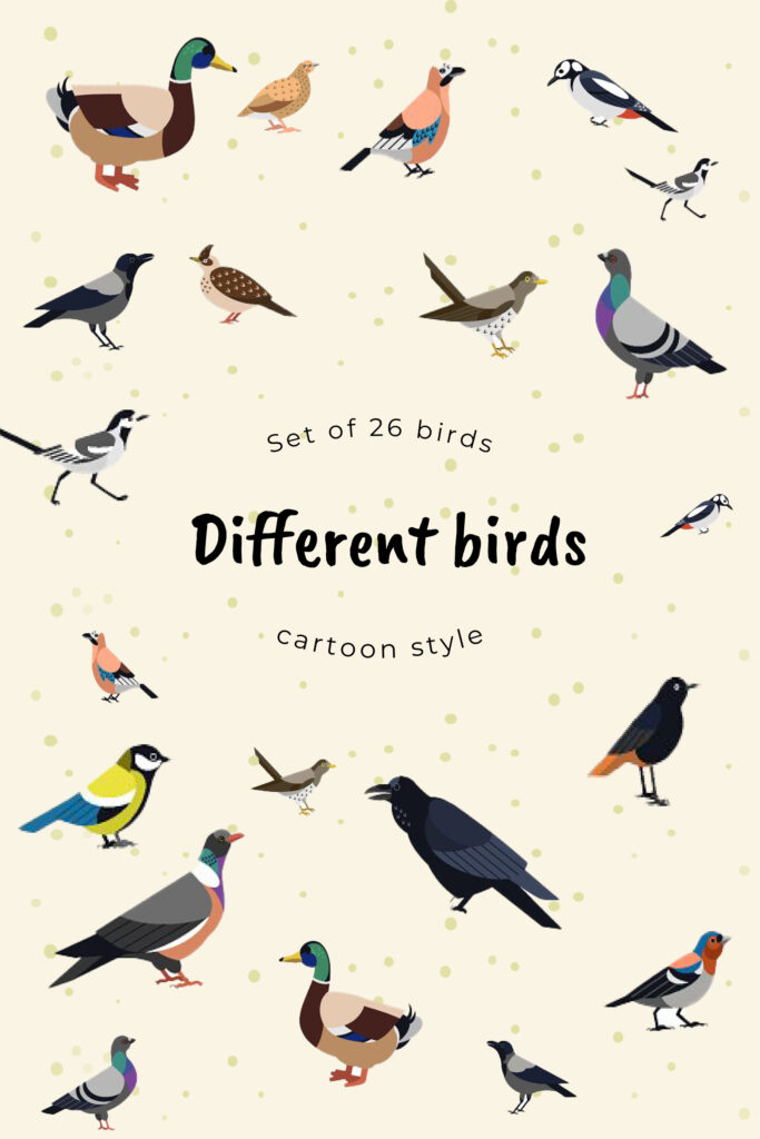 Different Birds Set – MasterBundles