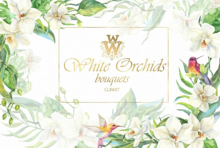 White Orchids Watercolor Clipart – MasterBundles