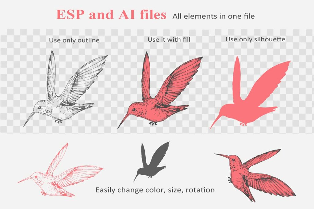 Hummingbird Outline – MasterBundles