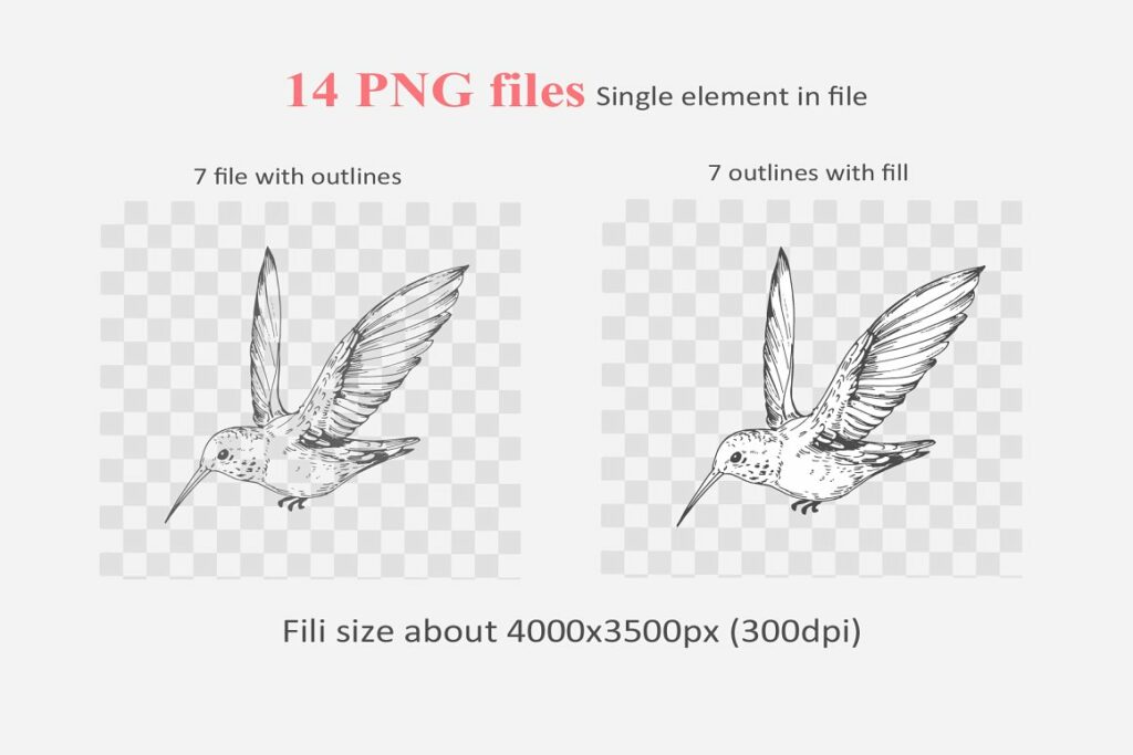 Hummingbird Outline – MasterBundles