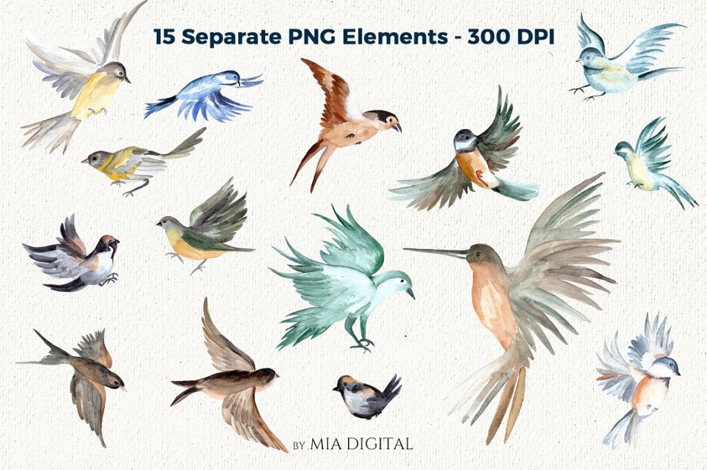 Watercolor Birds Clipart Set – MasterBundles