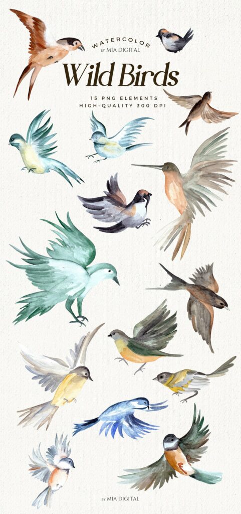 Watercolor Birds Clipart Set – MasterBundles