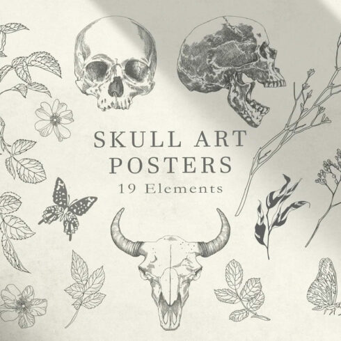 Skull Art Posters | Master Bundles