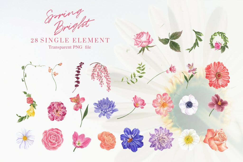 Brightly Coloured Spring Flower – MasterBundles