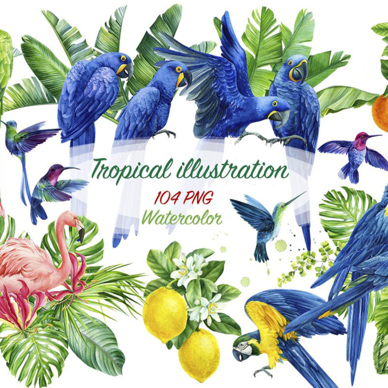 Parrots, Watercolor Cockatoo Clipart | Master Bundles