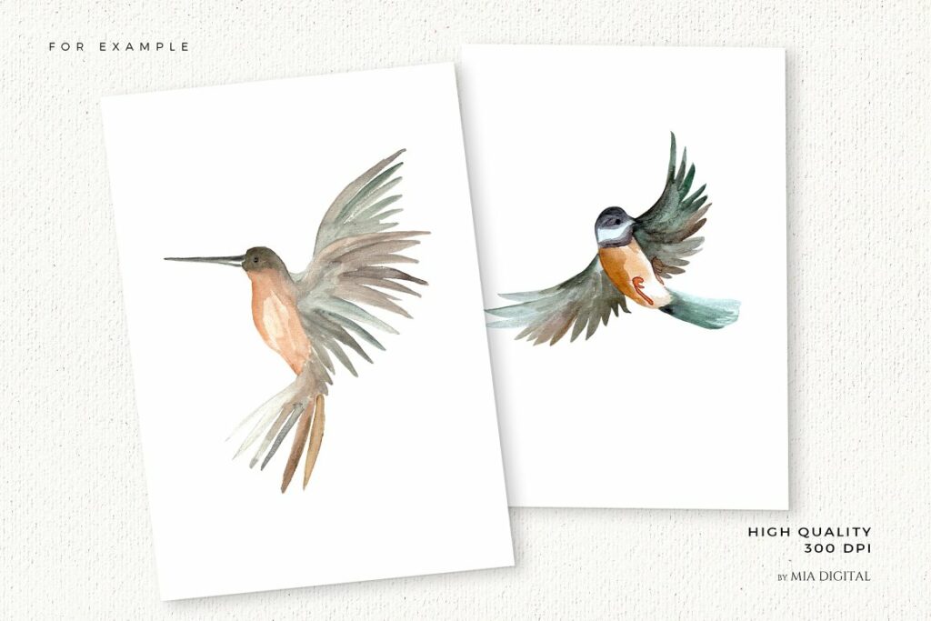 Watercolor Birds Clipart Set – MasterBundles