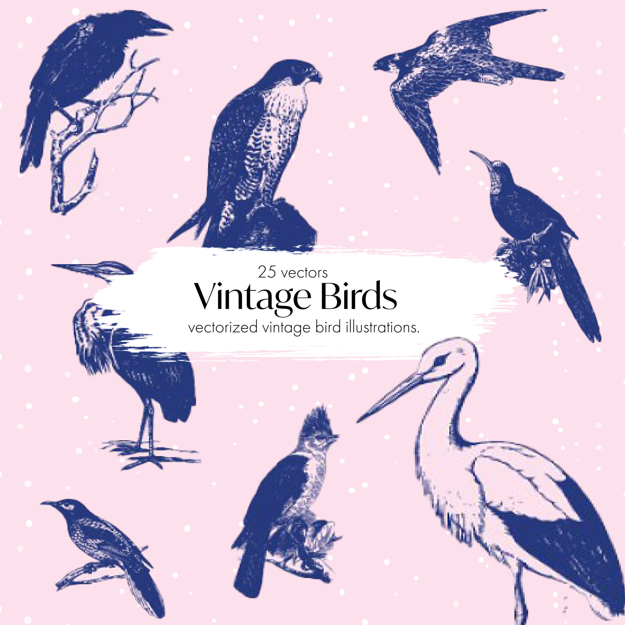 VINTAGE BIRDS 25 Vectors | Master Bundles