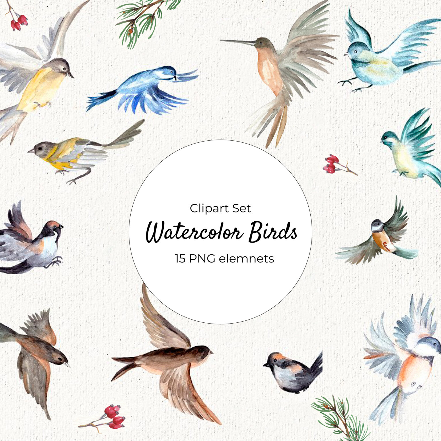 Watercolor Birds Clipart Set – MasterBundles