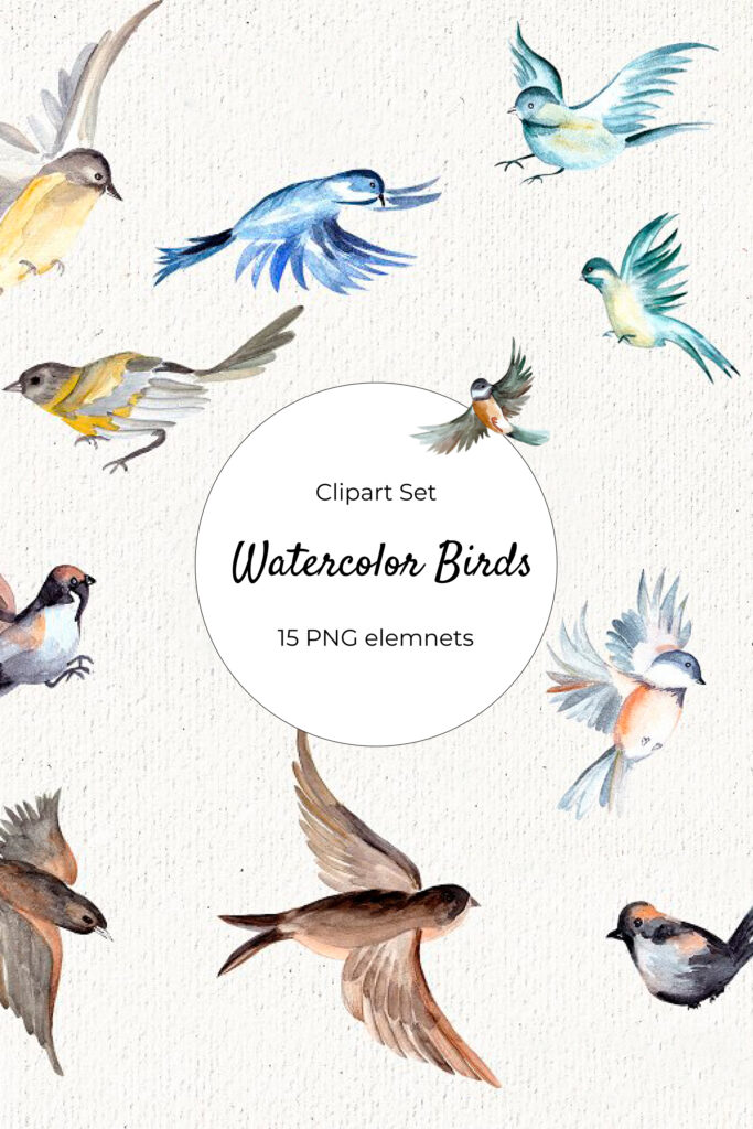 Watercolor Birds Clipart Set – MasterBundles