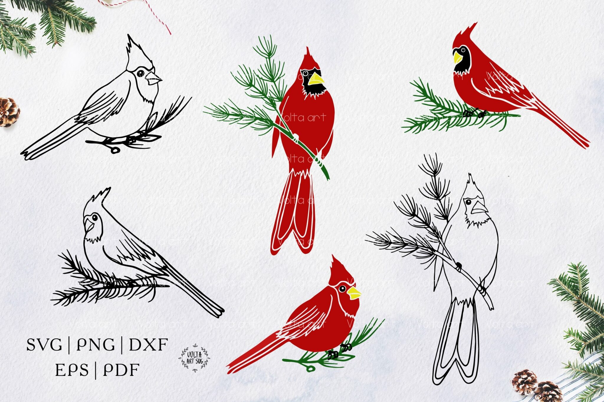 Cardinal On Branch Svg Bundle – MasterBundles