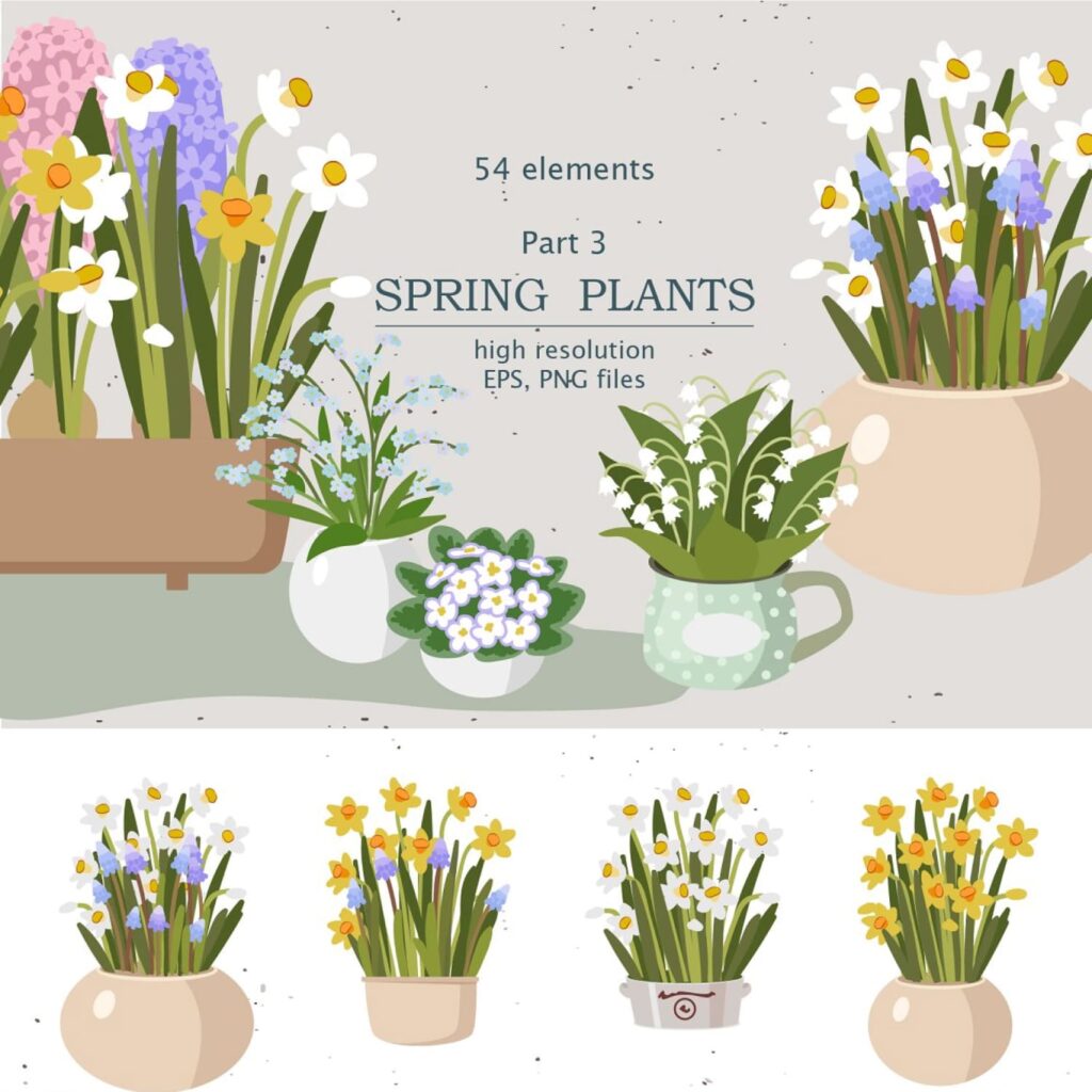 Spring Indoor Plants | Part 3 – MasterBundles