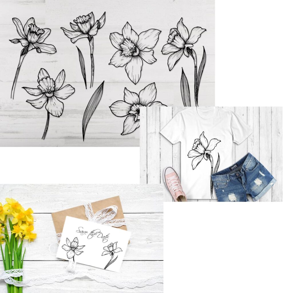 Narcissus. Line Art Flowers – MasterBundles
