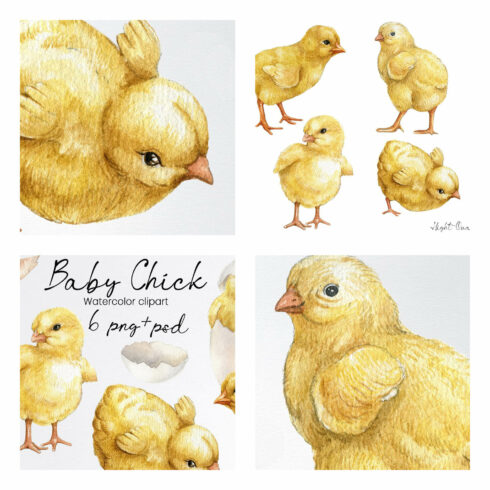 Watercolor Easter Chicken Clipart Images – MasterBundles