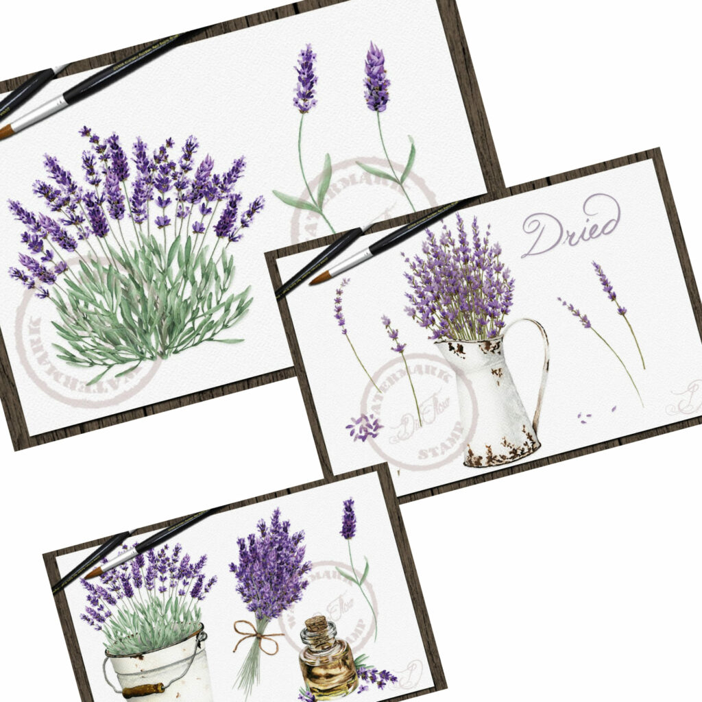Vintage Lavender Watercolor Clip Art – MasterBundles