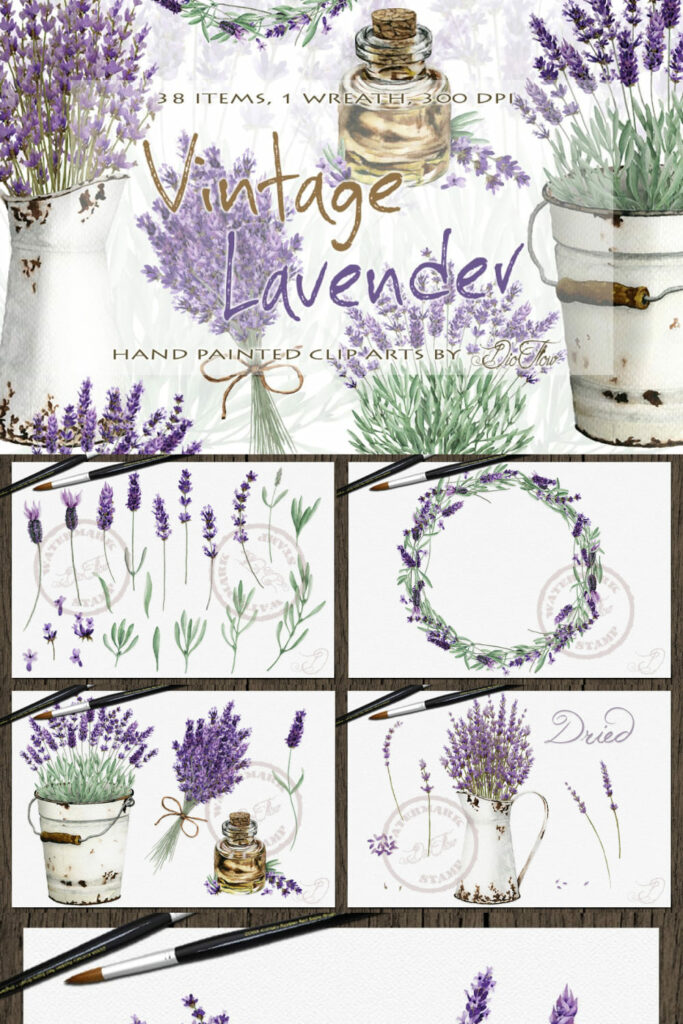 Vintage Lavender Watercolor Clip Art – MasterBundles