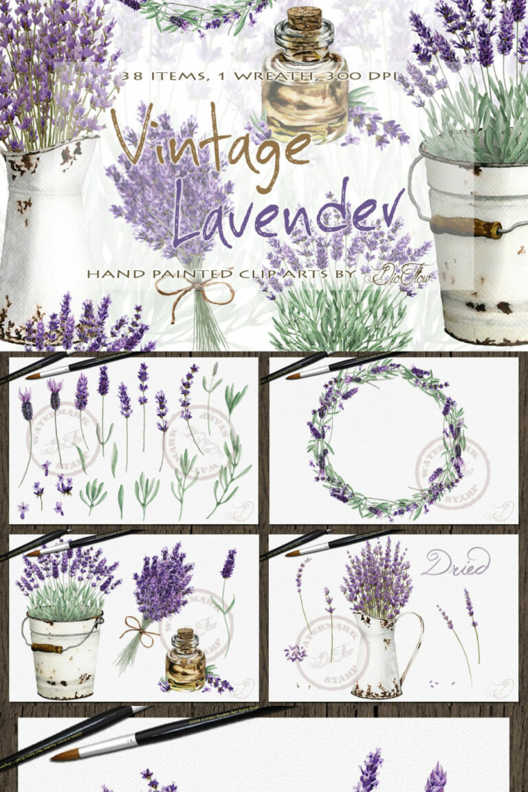 Vintage Lavender Watercolor Clip Art – MasterBundles