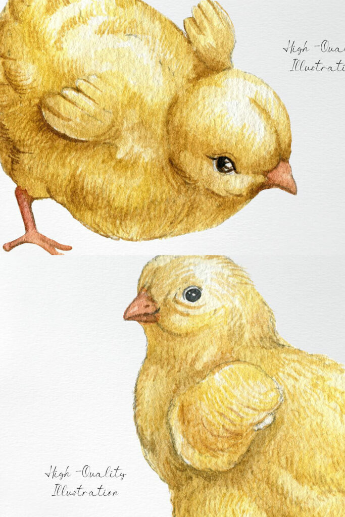 Watercolor Easter Chicken Clipart Images – MasterBundles