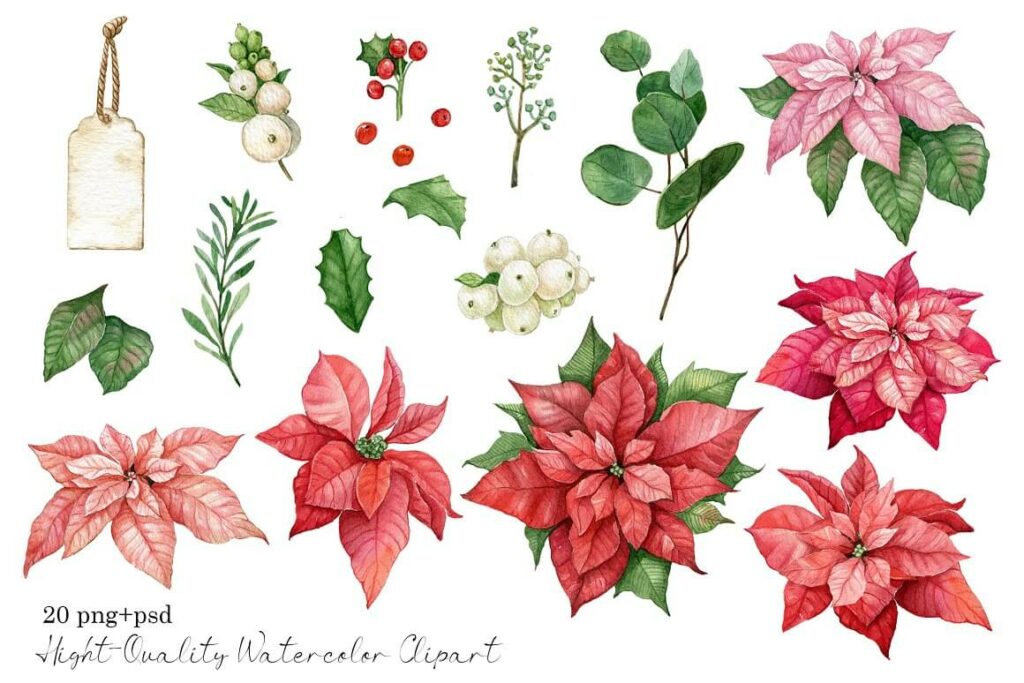 Watercolor Red Poinsettia Flower Clipart – MasterBundles