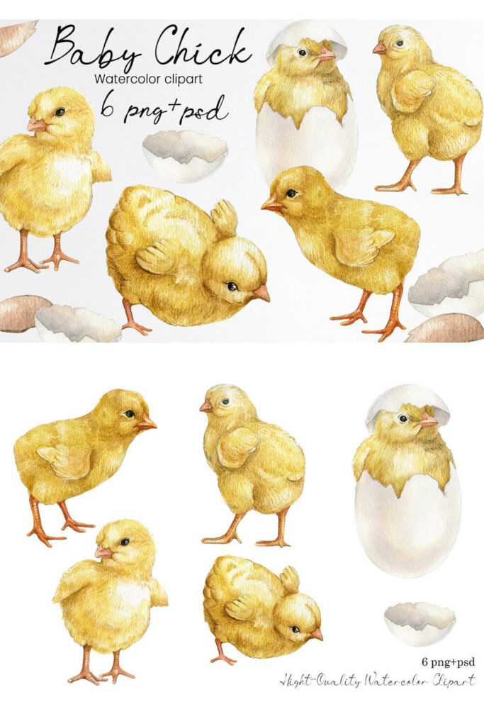 Watercolor Easter Chicken Clipart Images – MasterBundles