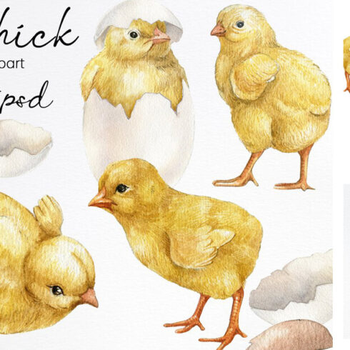 Watercolor Easter Chicken Clipart Images | Master Bundles