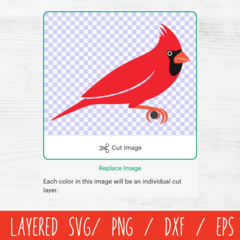 Red Cardinal Bird Svg Bundle | Master Bundles