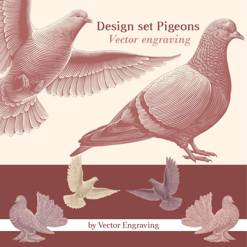 Design Set Pigeons Vector Engraving – MasterBundles