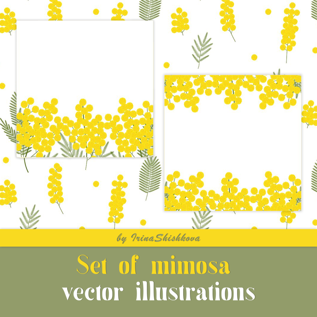 Set Of Mimosa Vector Illustrations | Master Bundles