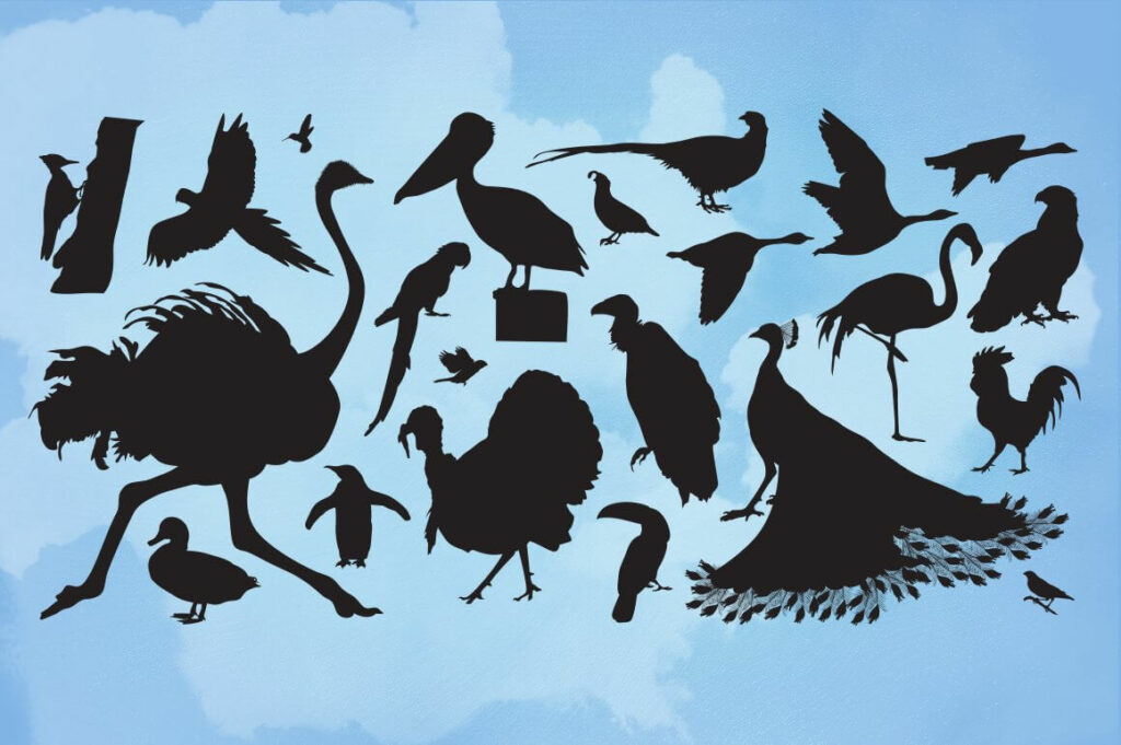 Bird Silhouettes Clipart – MasterBundles