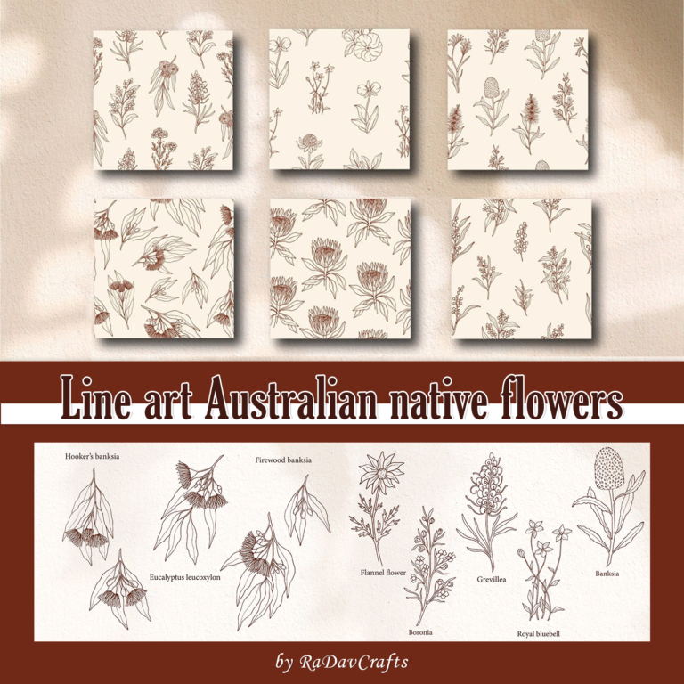 Line Art Australian Native Flowers – MasterBundles