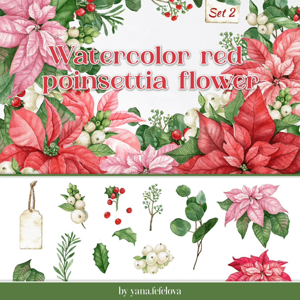 Watercolor Red Poinsettia Flower Clipart – MasterBundles