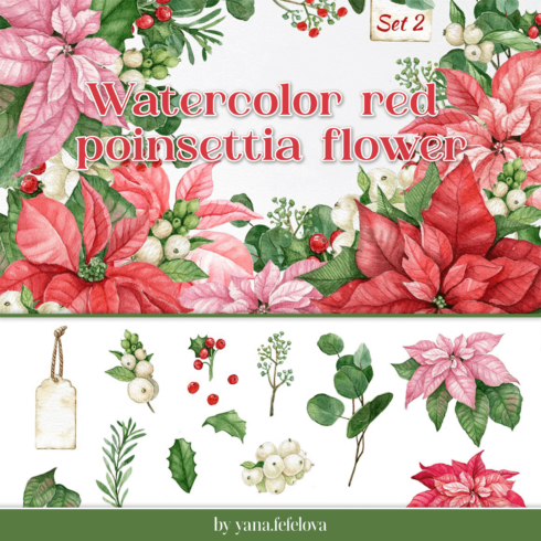Watercolor Red Poinsettia Flower Clipart – MasterBundles