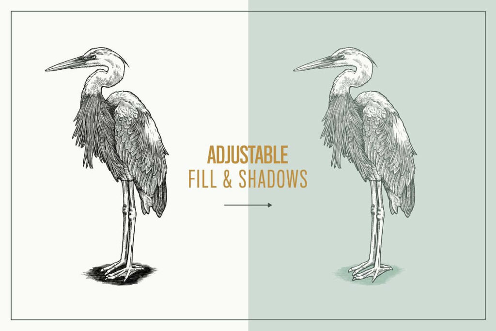 Hand Drawn Shorebirds Set – MasterBundles