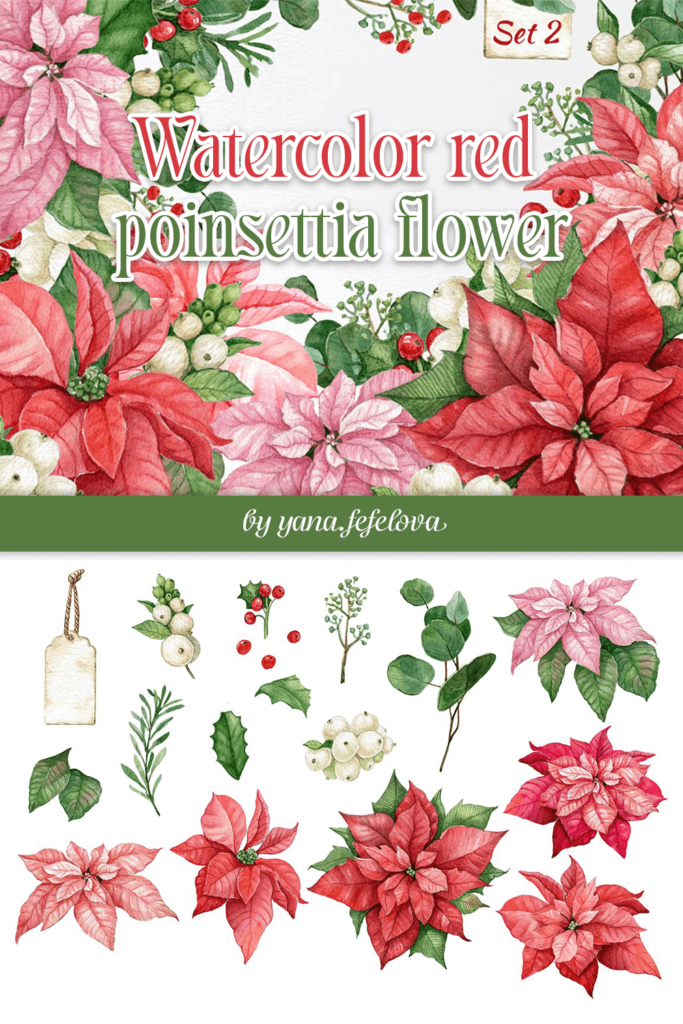 Watercolor Red Poinsettia Flower Clipart – MasterBundles