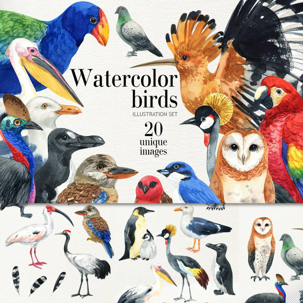 Watercolor Birds Set – MasterBundles
