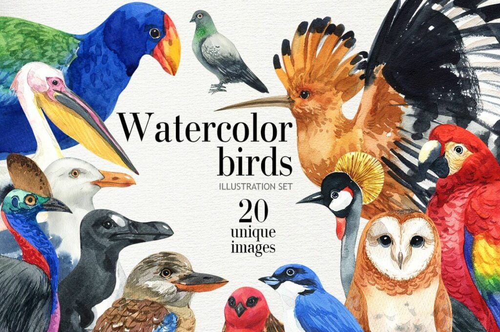 Watercolor Birds Set – MasterBundles