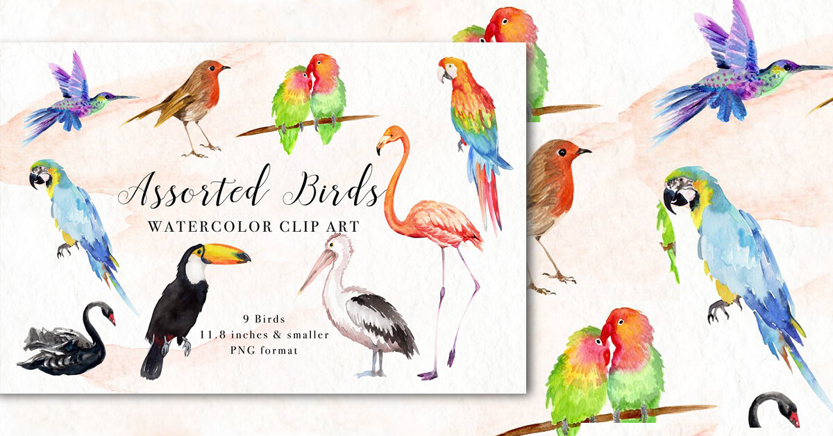 Birds Watercolor Clip Art – MasterBundles