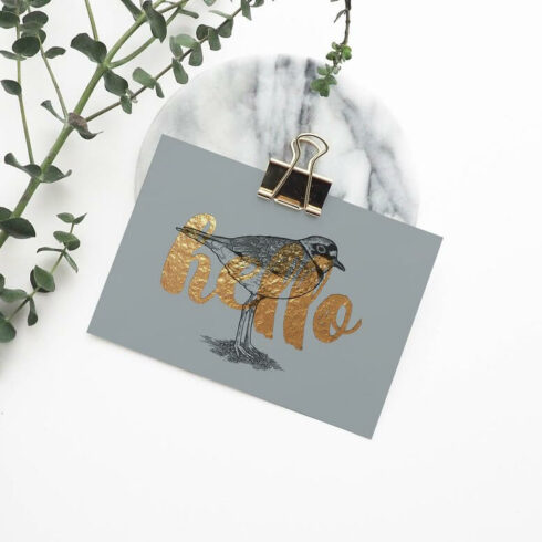 Hand Drawn Shorebirds Set | Master Bundles