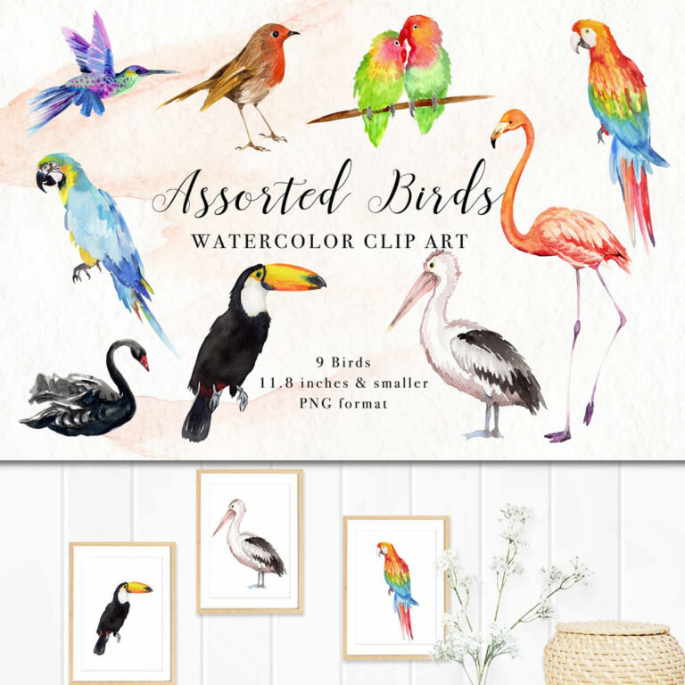Birds Watercolor Clip Art – MasterBundles