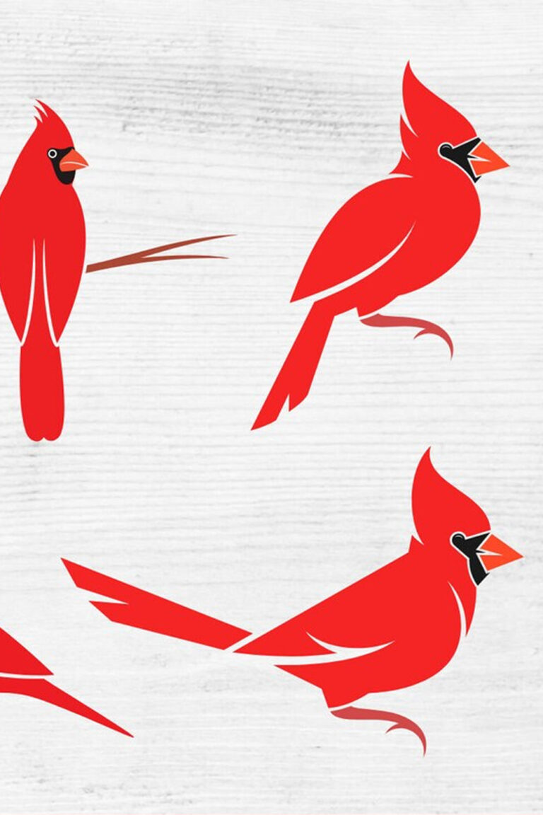 Red Cardinal Bird Svg Bundle – MasterBundles