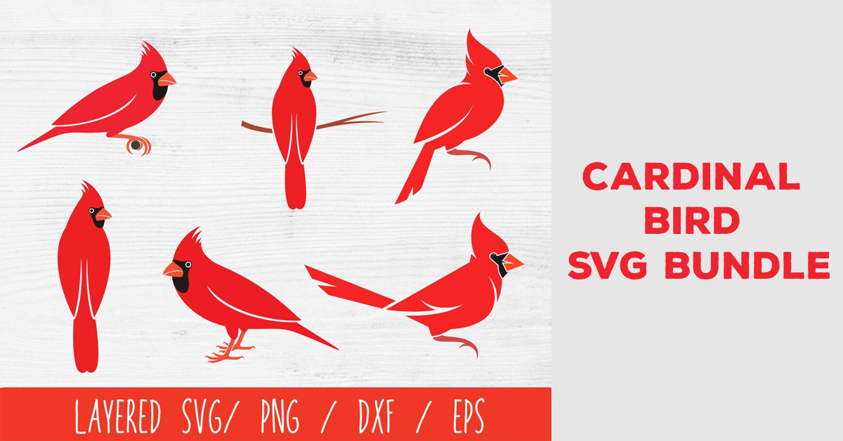 Red Cardinal Bird Svg Bundle – MasterBundles